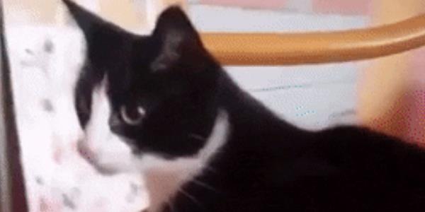 Quand ma correction crée un nouveau bug Quand ma correction crée un nouveau bug