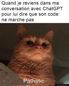 C'est n'importe quoi